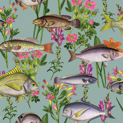 fish wallpaper uk